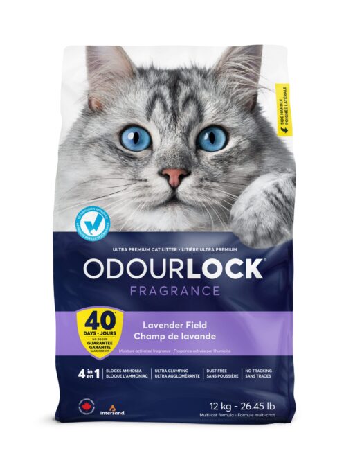 Intersand Odourlock Litière d'Argile pour Chat – Lavande, 12 kg - Heidi ...