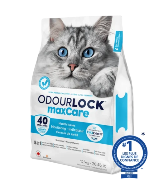 Intersand Odourlock maxCare Litière d'Argile pour Chat – Ultra premium ...