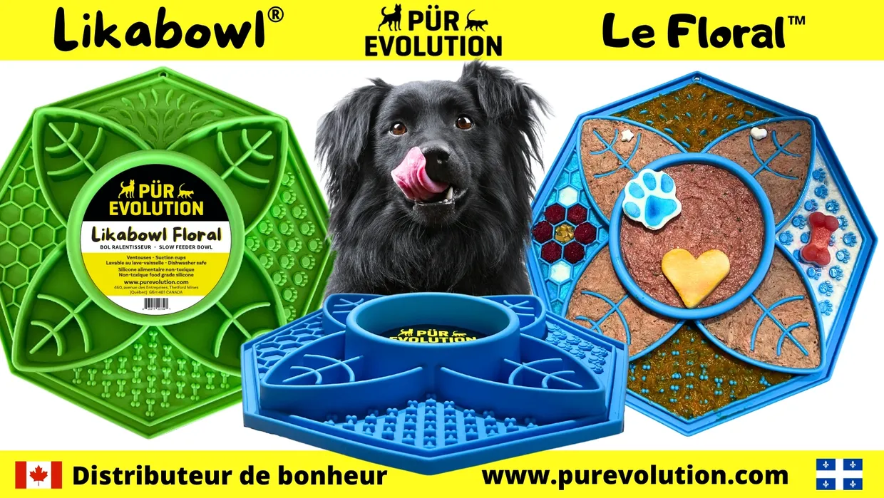 Pur Evolution, Likeabowl Floral - Heidi & Cie – Boutique naturelle pour ...